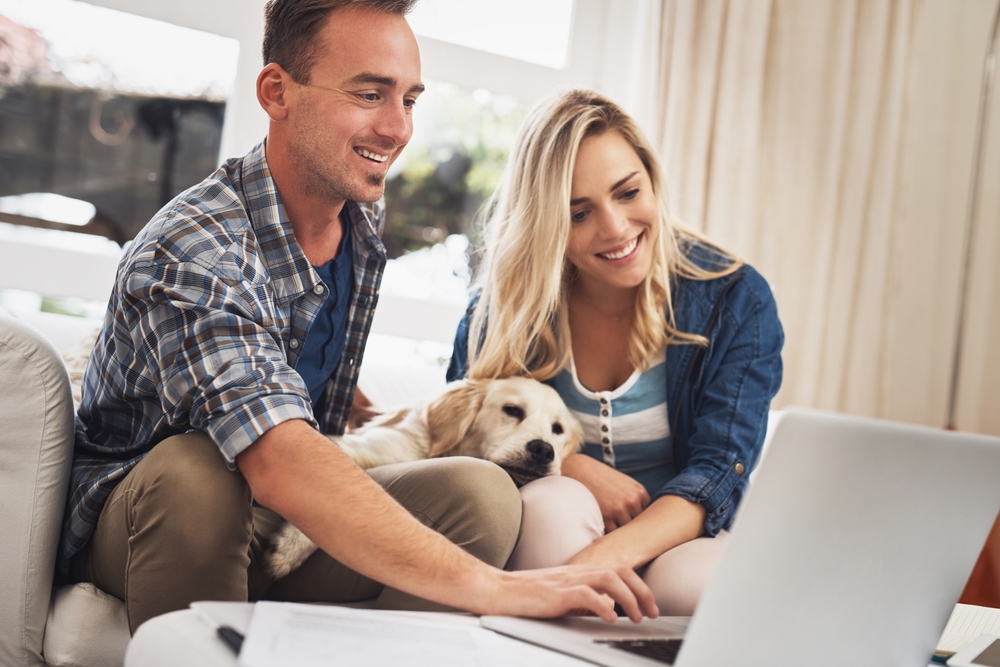 Vasectomy for Dogs - Dr Malcolm Ware